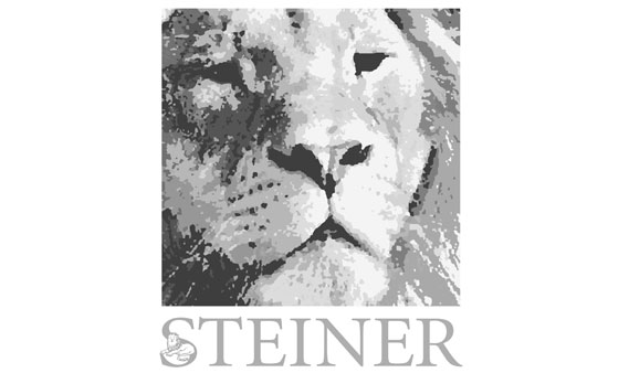 About us - Steiner